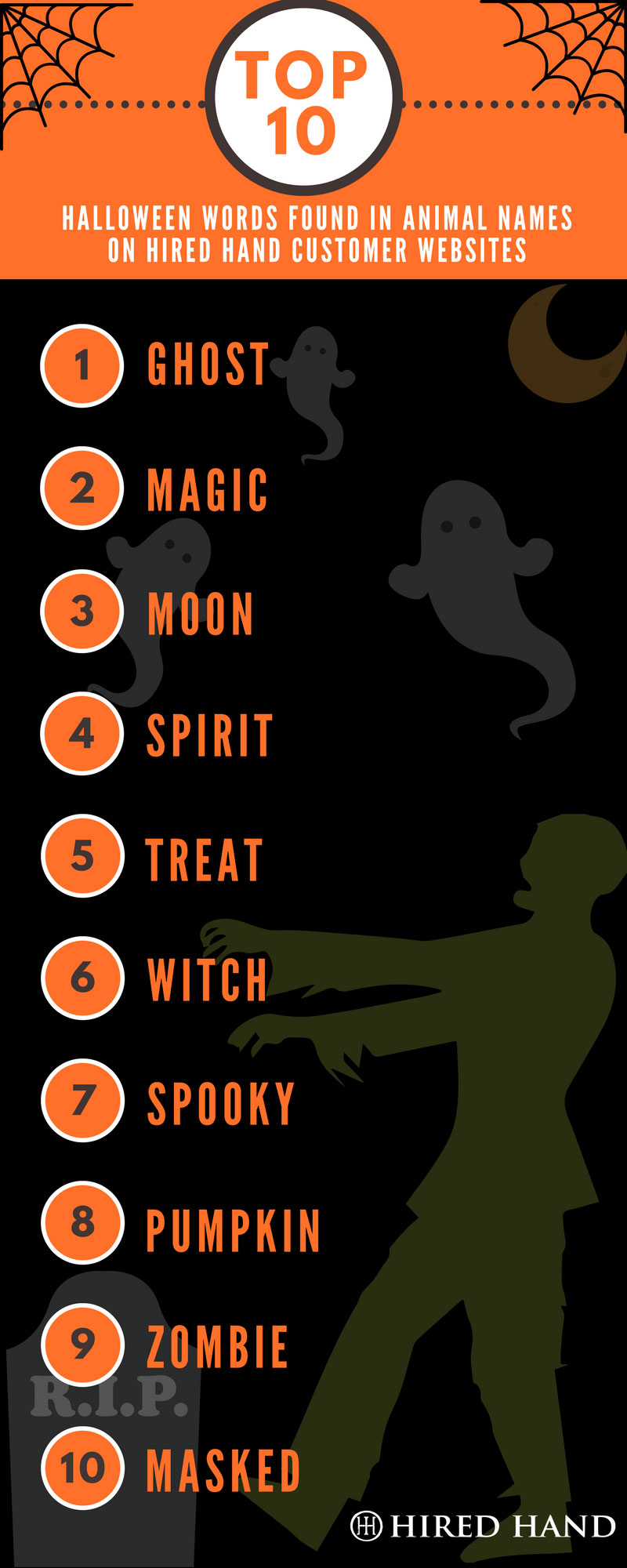 Halloween Animals Spooky Names Other Fun Halloween Animals Spooky Names Other Fun