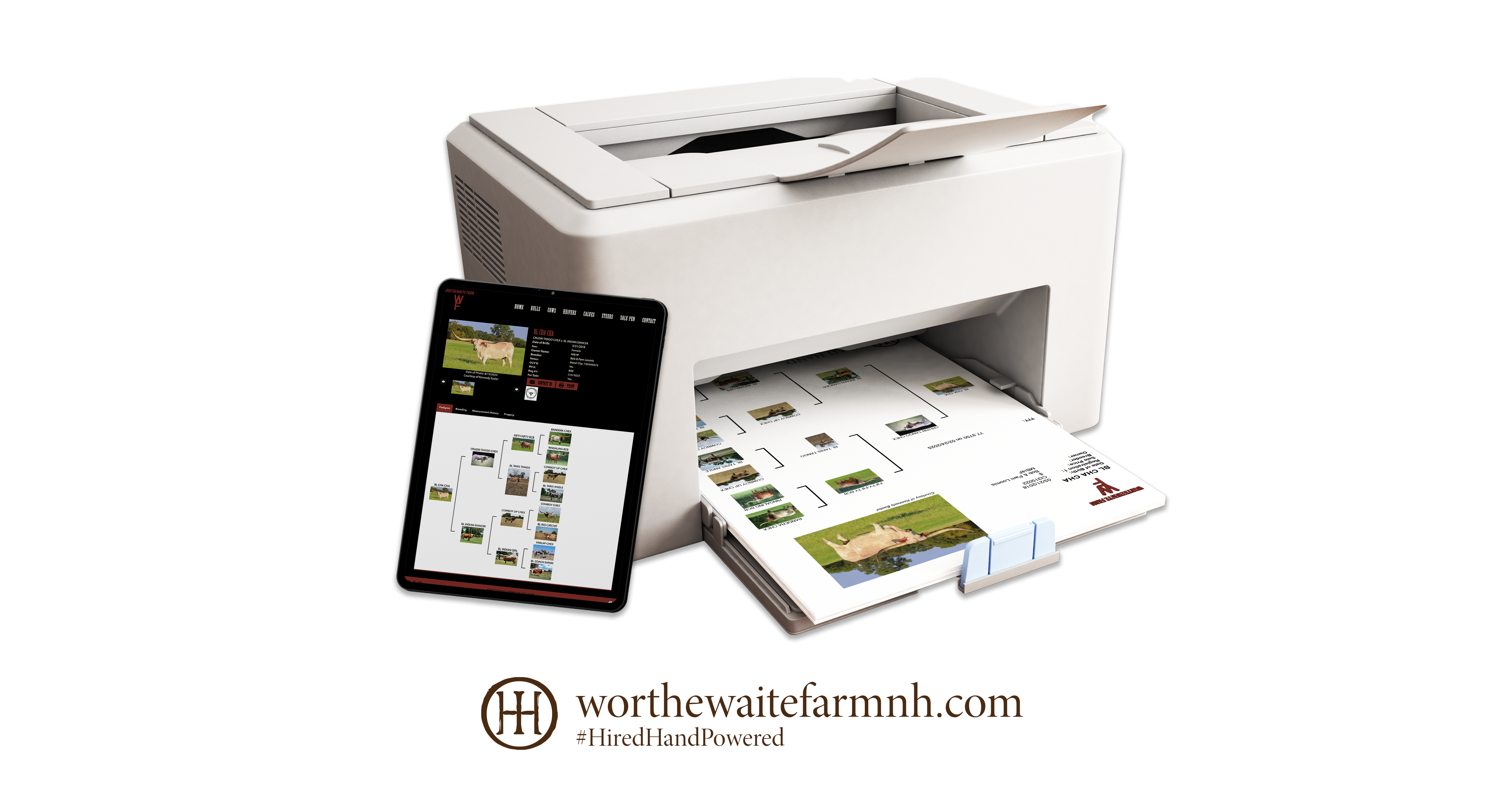 Introducing Worthewaite Farm: Their New Website is Live!