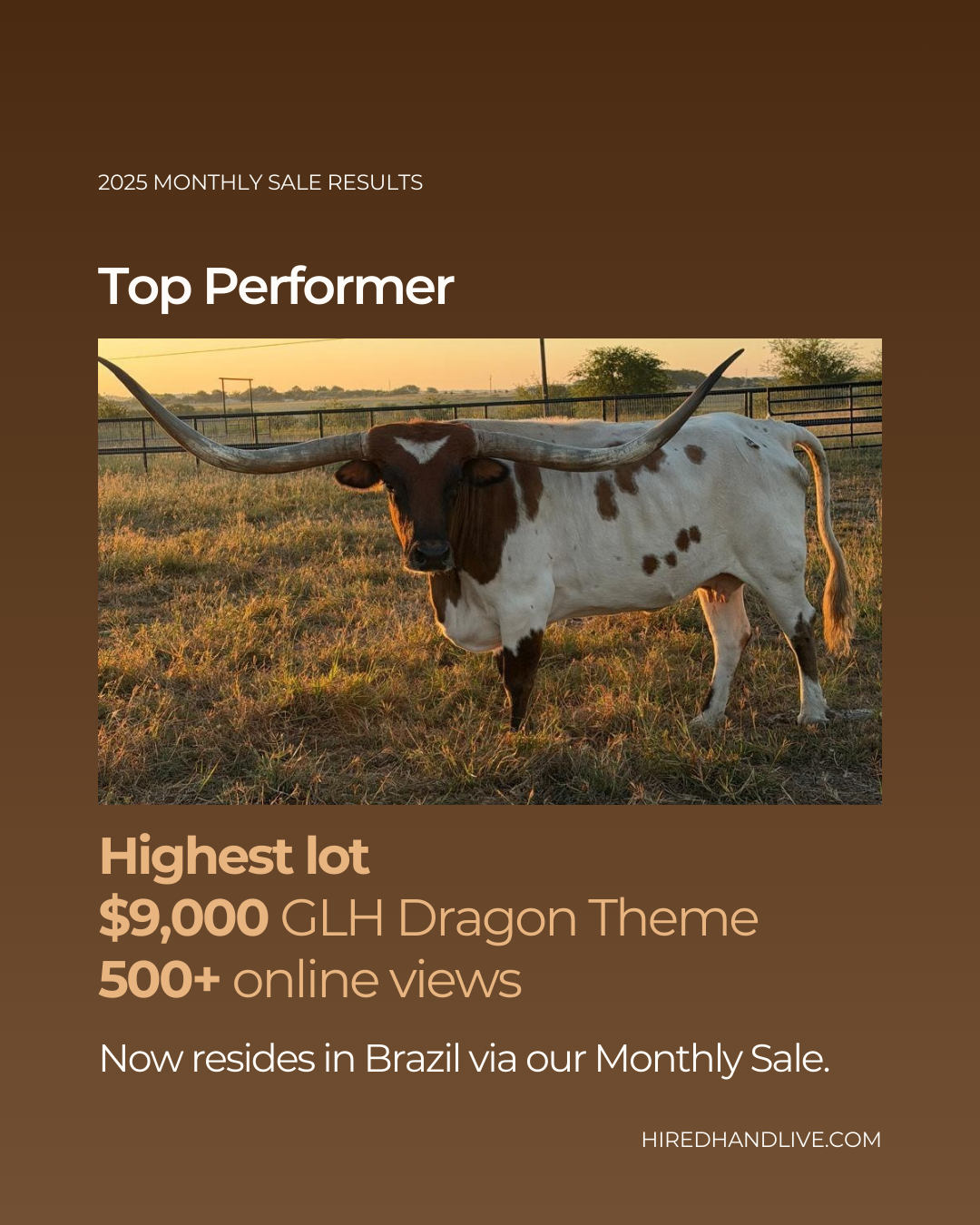 2025 Hired Hand Live End-of-Year Recap