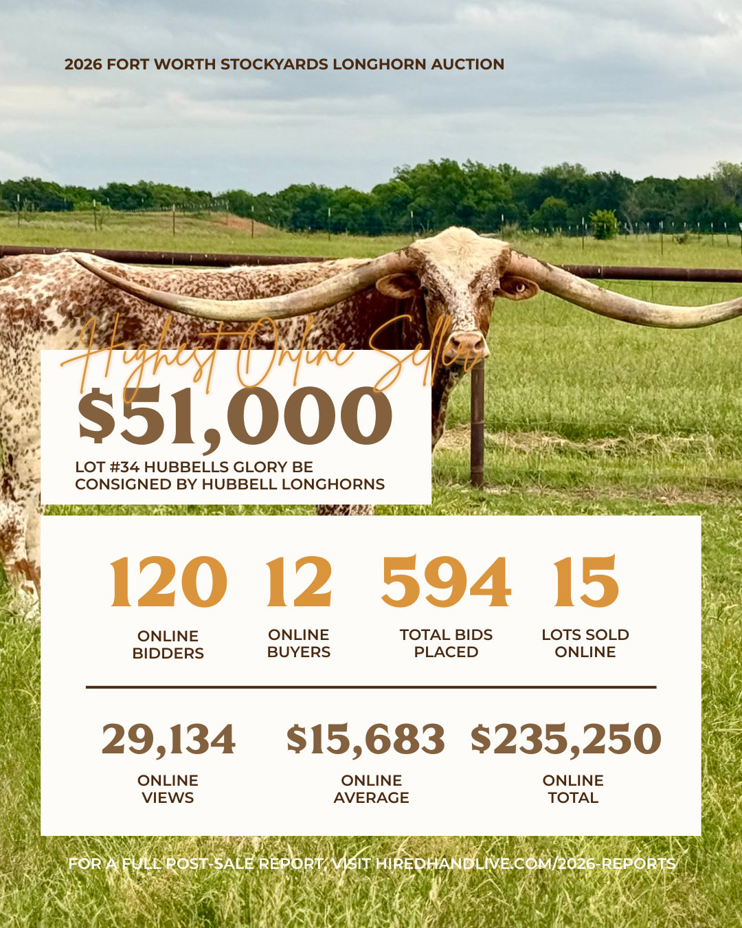 Weekend Recap: Fort Worth Stockyards Longhorn Auction