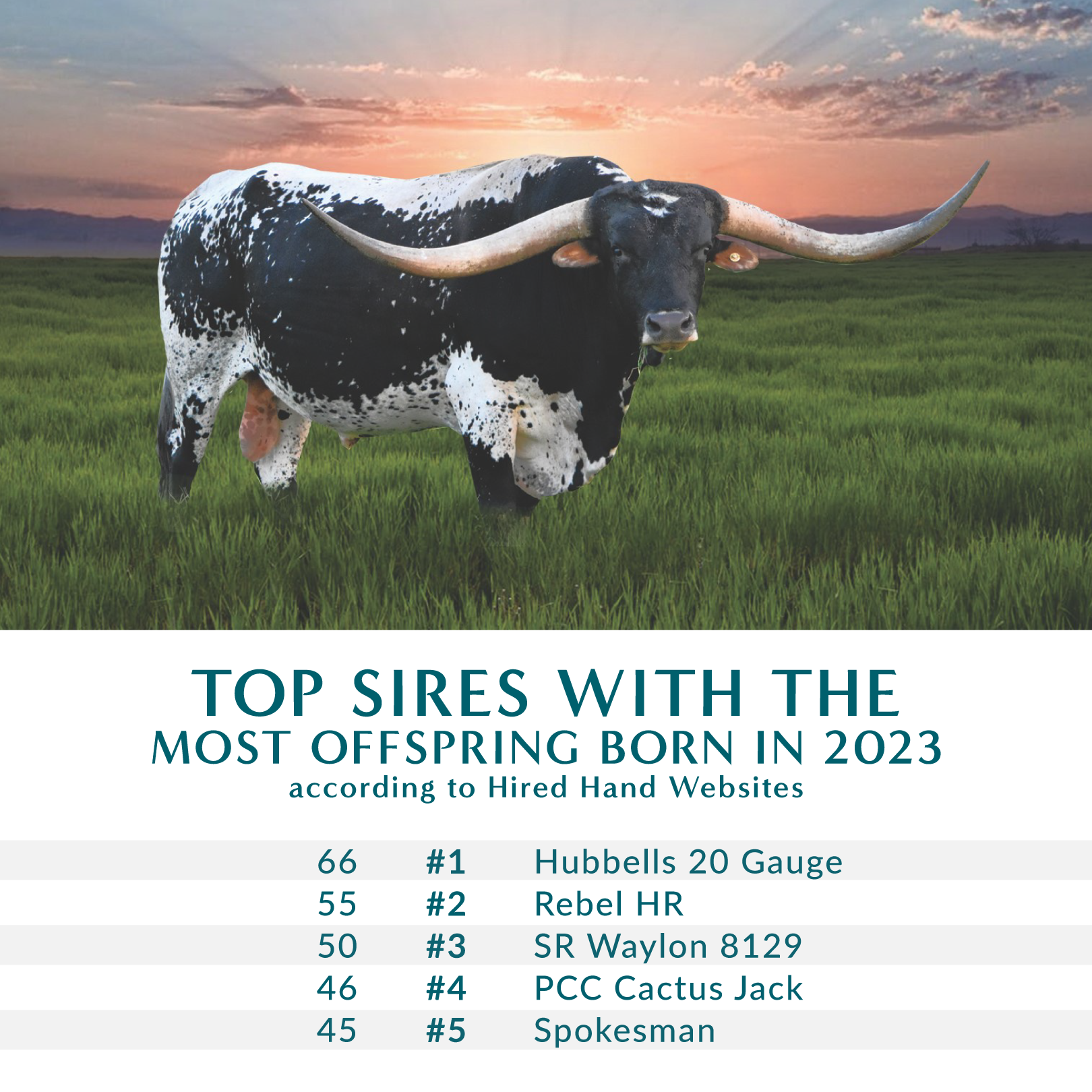2023 End of Year Report: Hired Hand Websites
