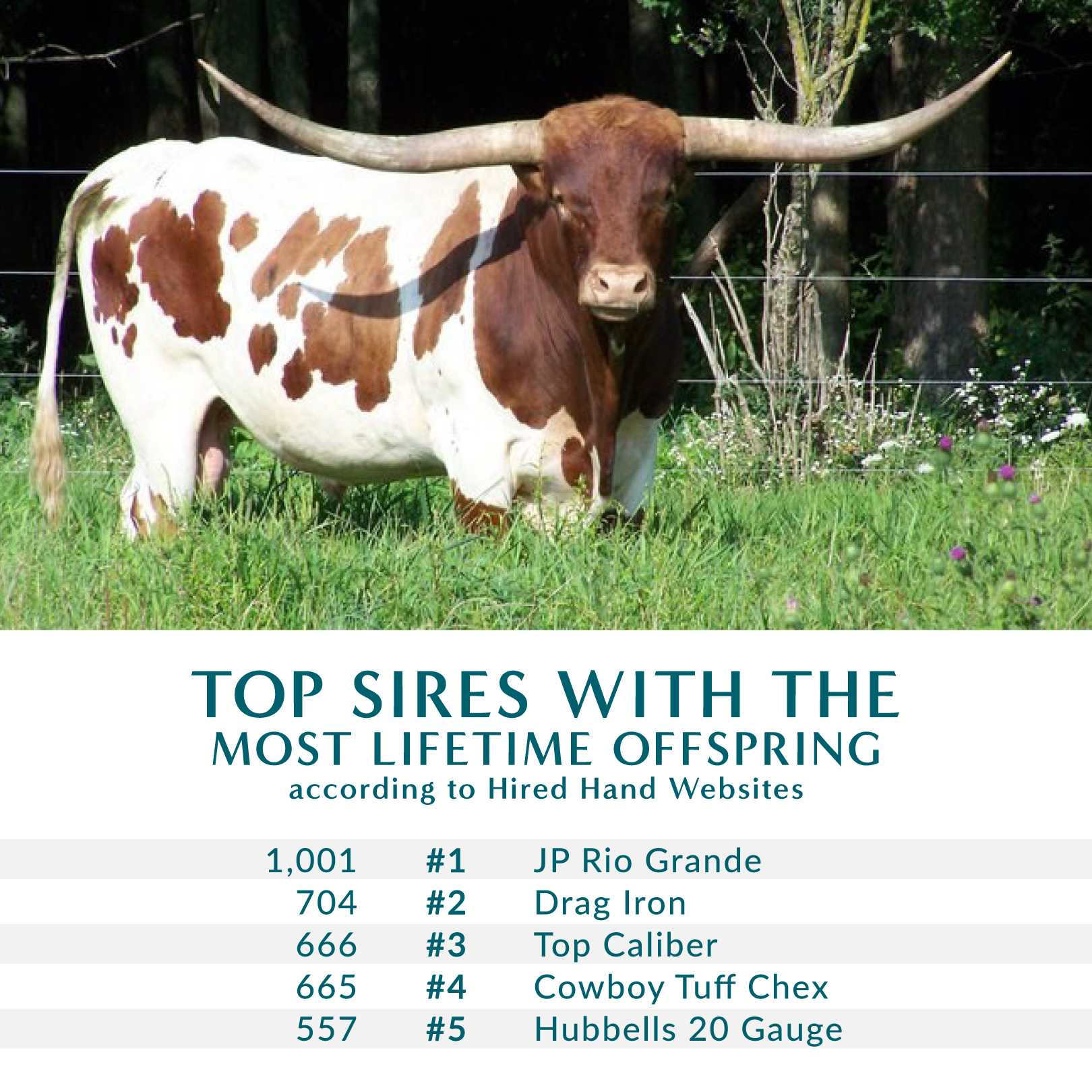 2023 End of Year Report: Hired Hand Websites