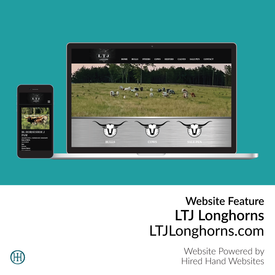 Website Feature: LTJ Longhorns