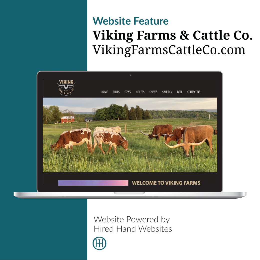 Website Feature: Viking Farms & Cattle Co.
