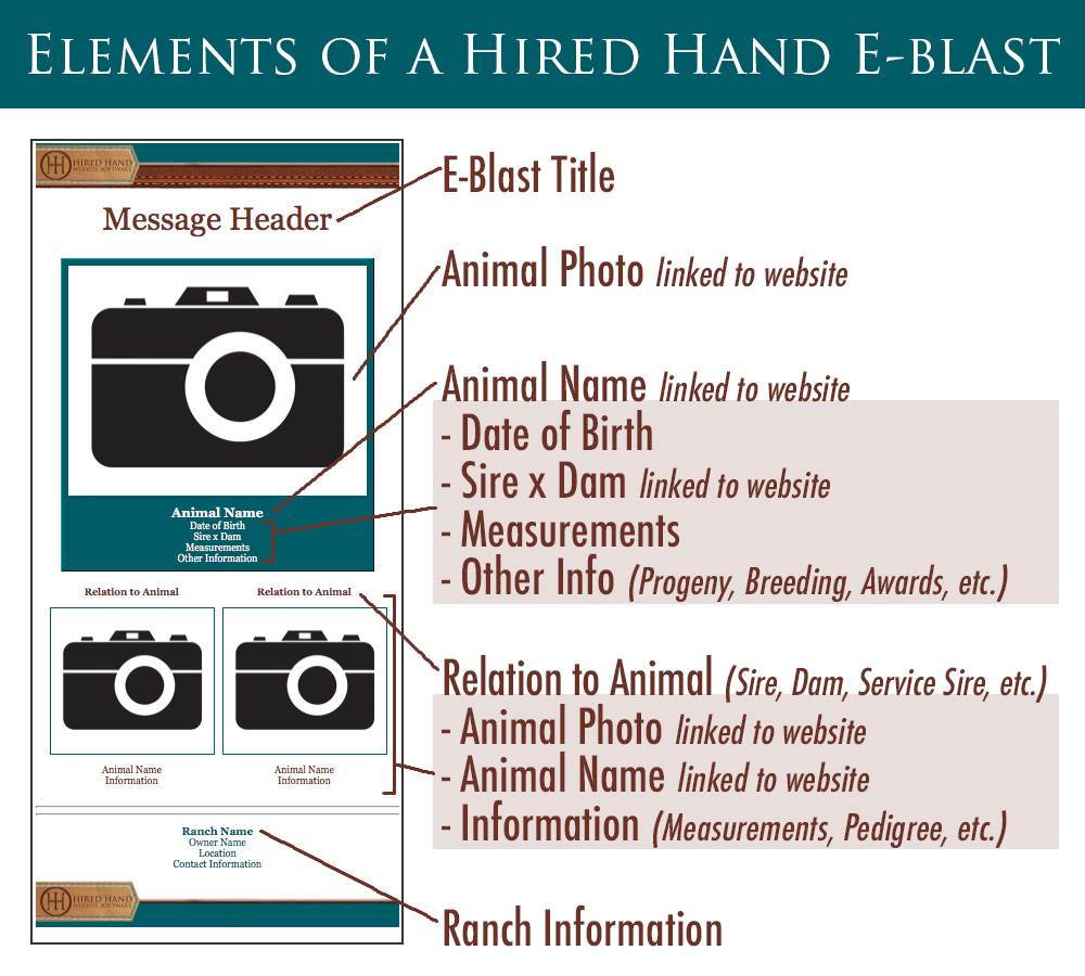 Breaking Down a Hired Hand E-blast