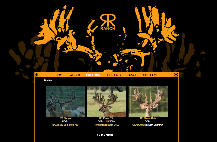 RR Ranch Website