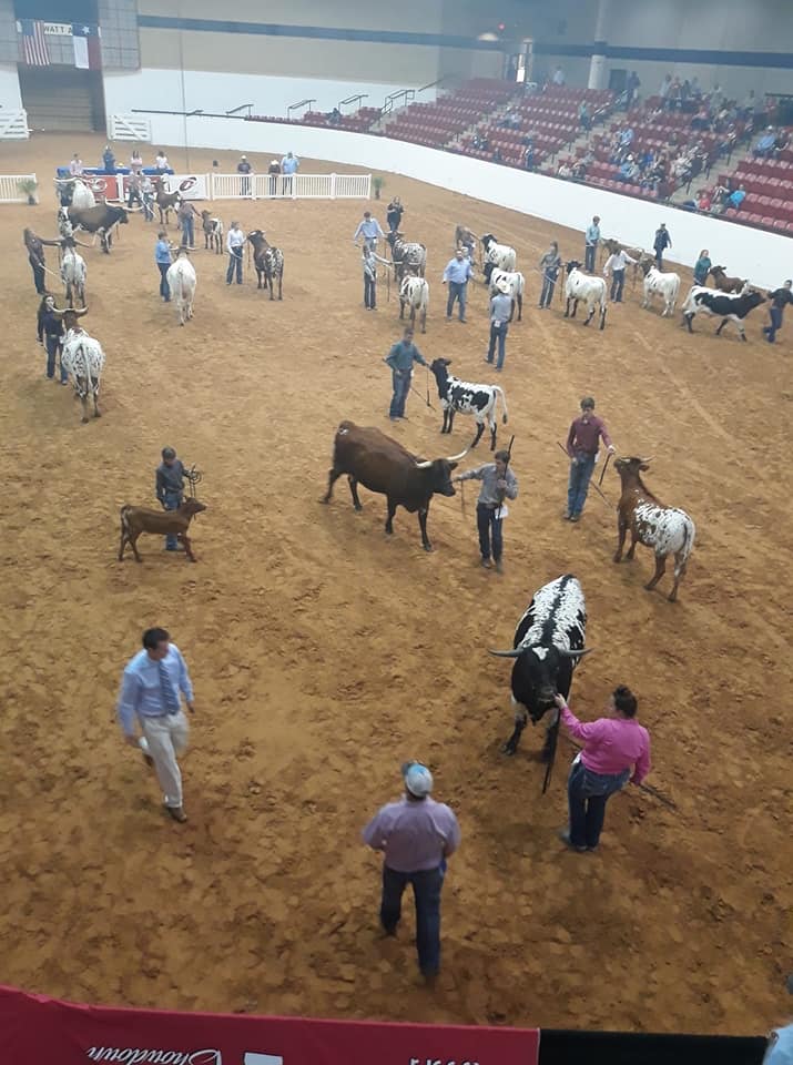 Your Favorite Longhorn Memories of 2019