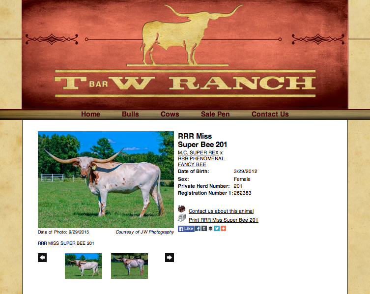 T Bar W Ranch, Lazy J Longhorns and Smith-Harris Century Ranch
