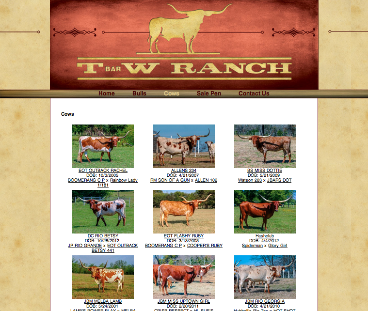 T Bar W Ranch, Lazy J Longhorns and Smith-Harris Century Ranch