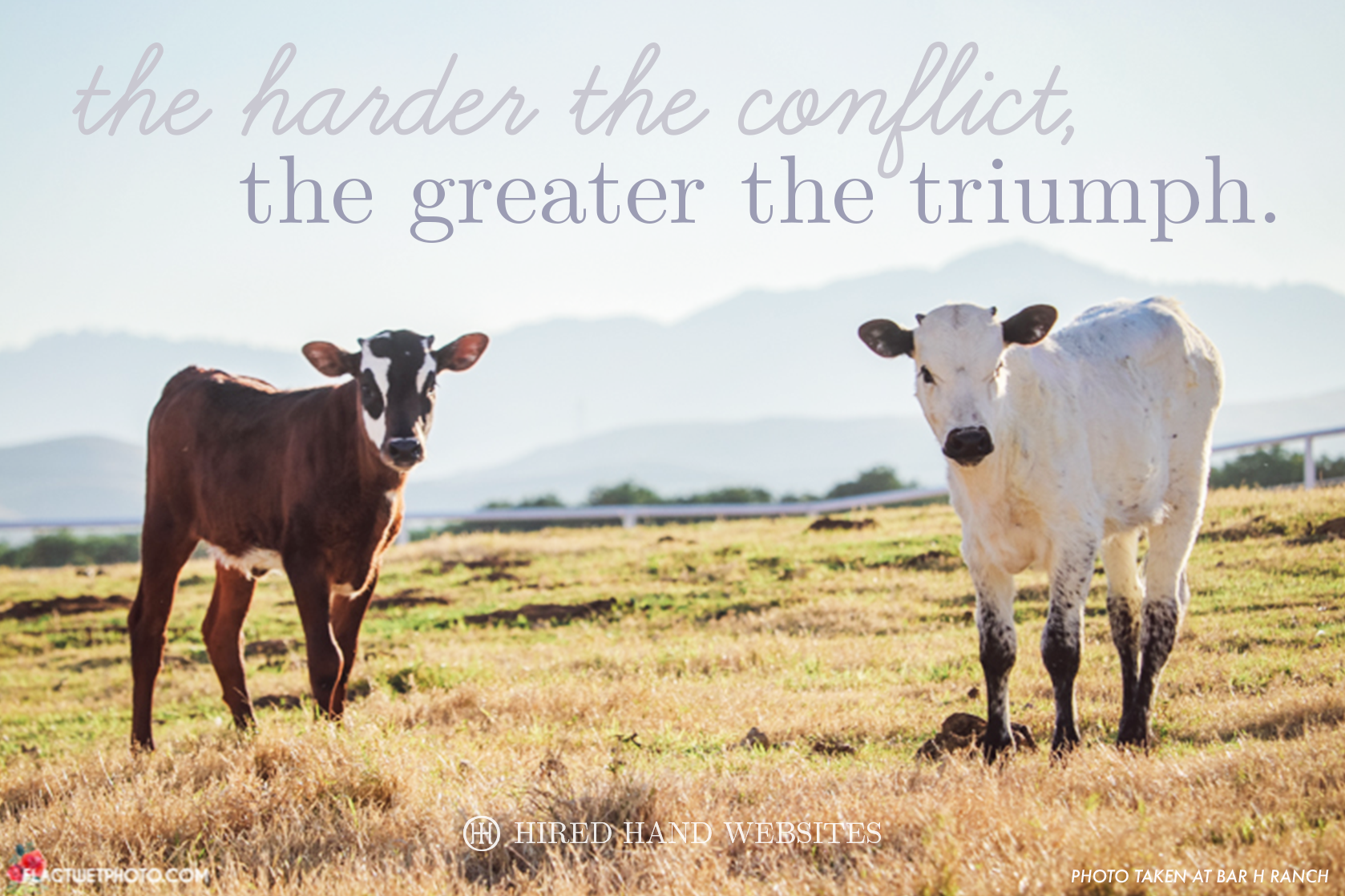 15 Quotes to Motivate (with cute animal pics!)