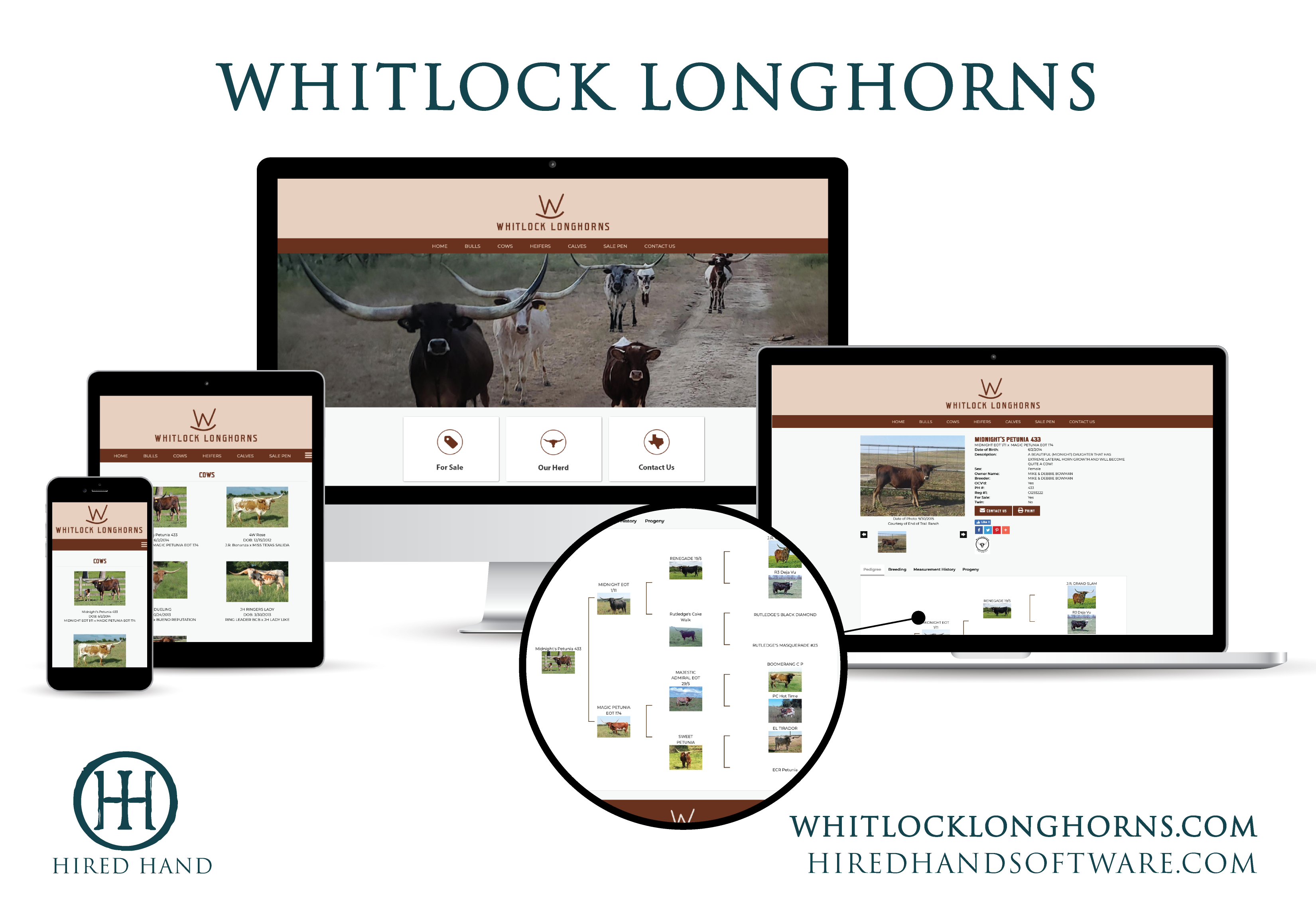 Whitlock Longhorns